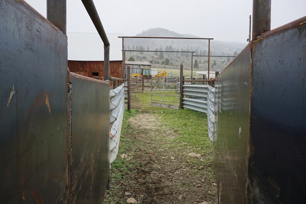How to Build Durable Pipe Corrals - Countryside